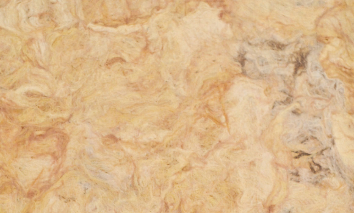 Portfolios – Page 2 – Barkskin™