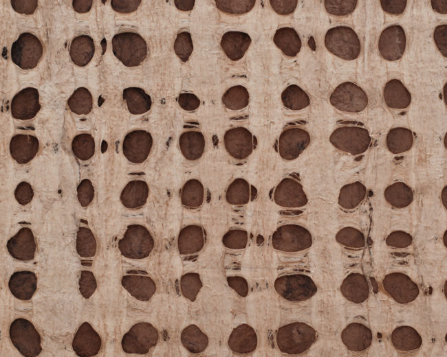 Woven – Barkskin™