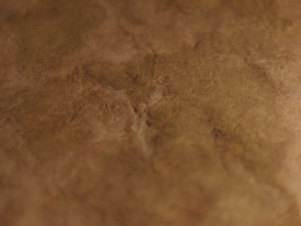 Original - Barkskin™