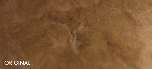 Original – Barkskin™
