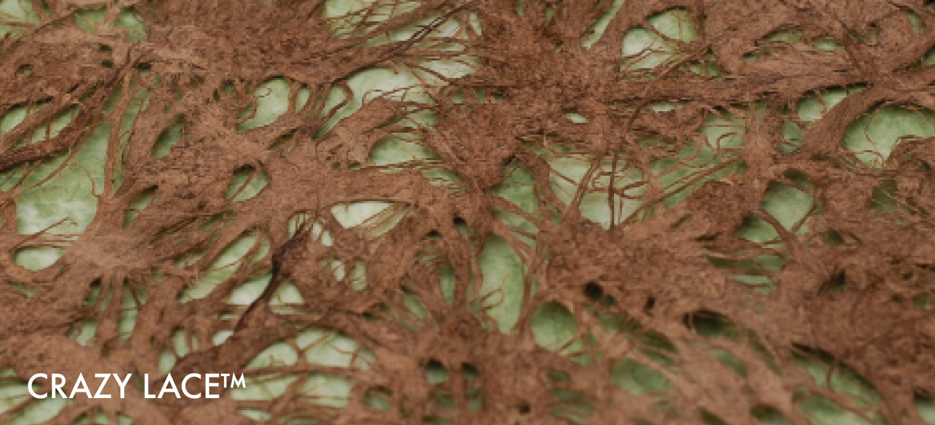 Portfolios – Barkskin™