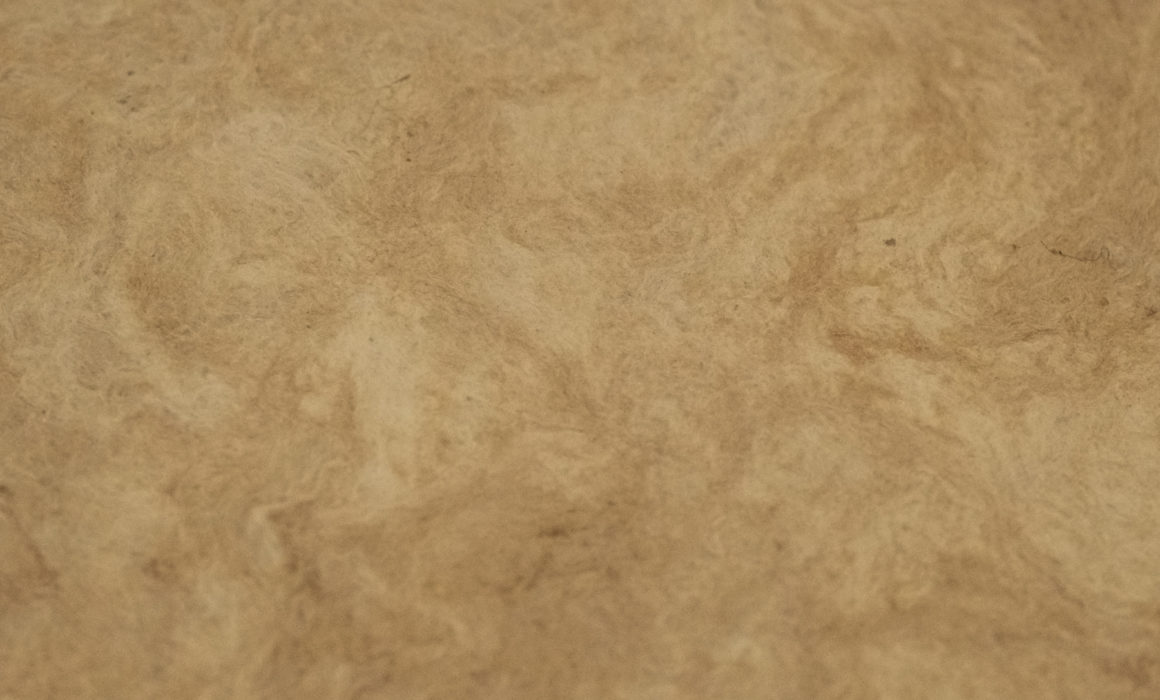 Portfolios – Barkskin™