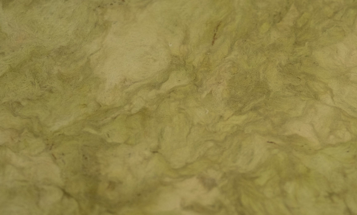 Portfolios – Page 2 – Barkskin™