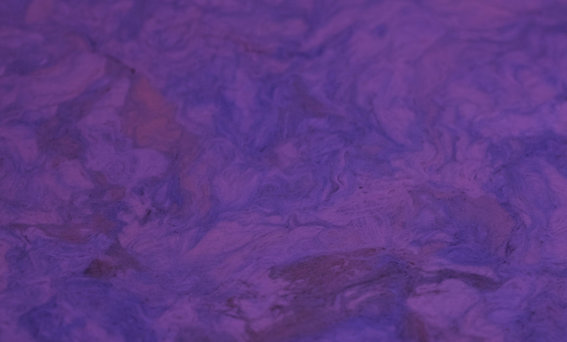 Portfolios – Page 2 – Barkskin™