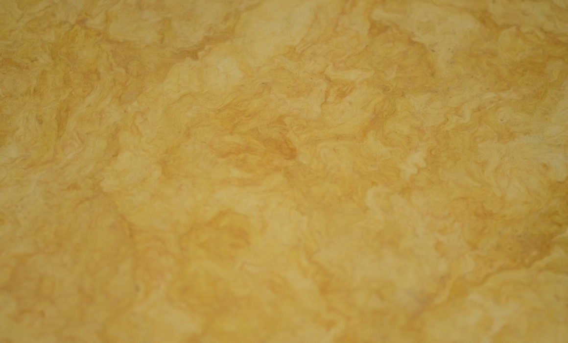 Portfolios – Page 2 – Barkskin™