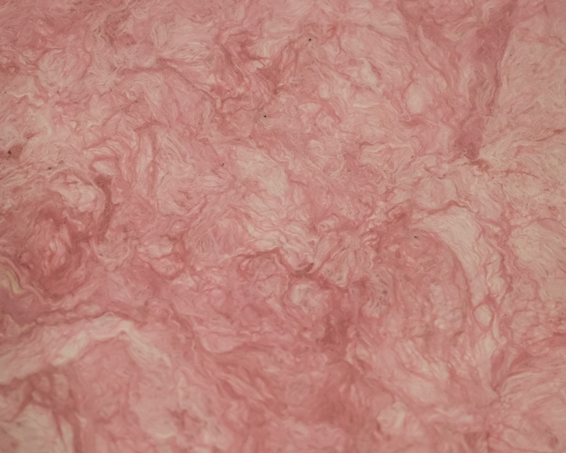 Portfolios – Page 2 – Barkskin™